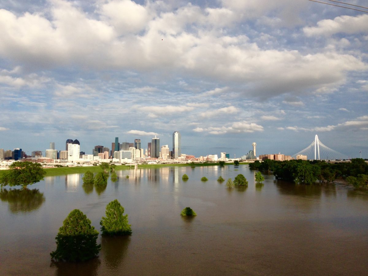 The Trinity Project: Reserve Your Spot Now for Meditation - D Magazine