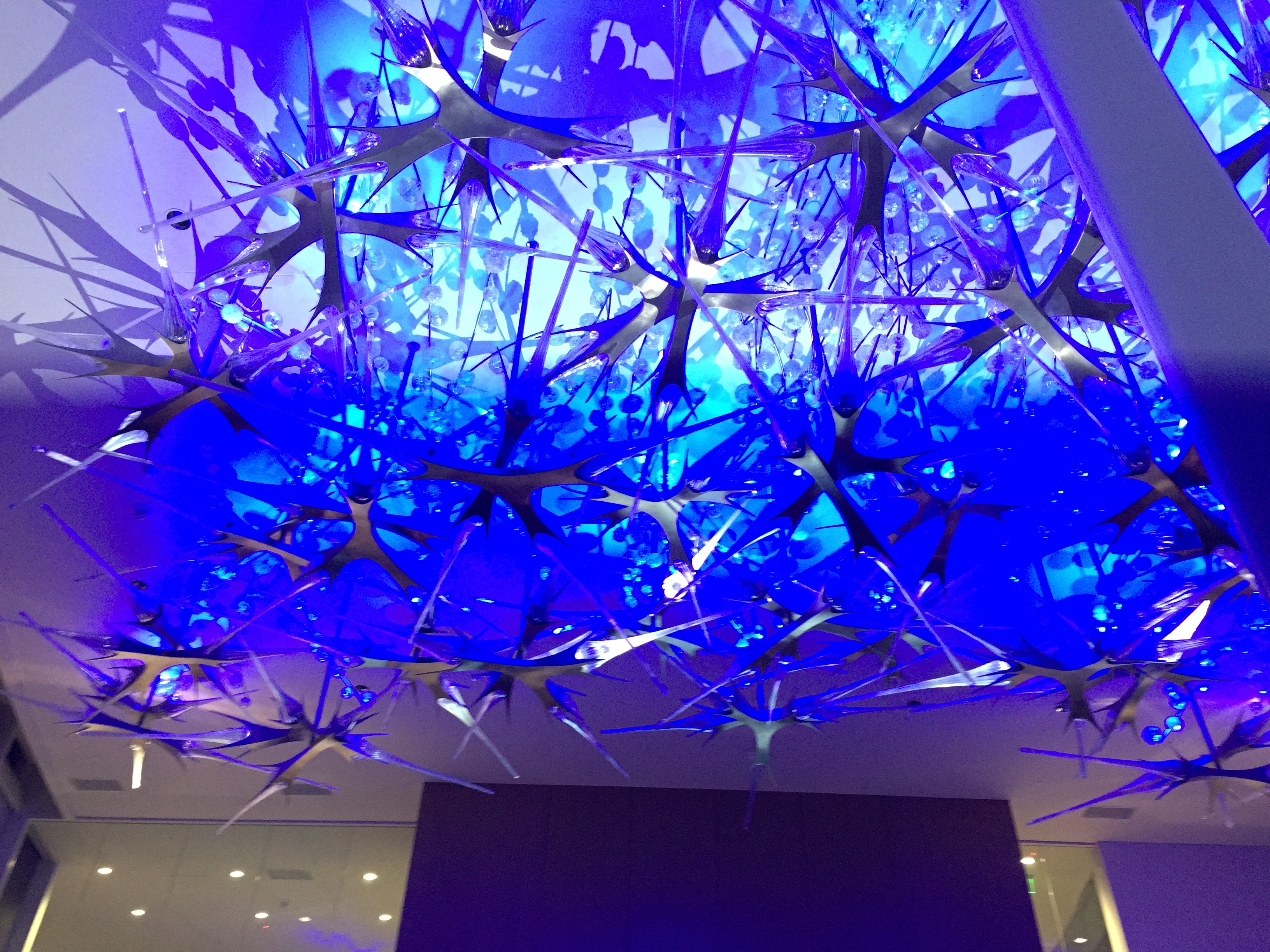 Opening of Brain Performance Institute HQ Said To Mark Start of 'Global ...