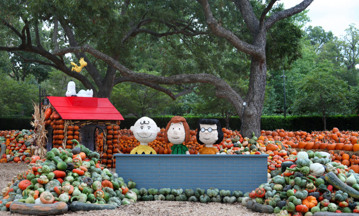 It's Officially Fall at the Dallas Arboretum - D Magazine
