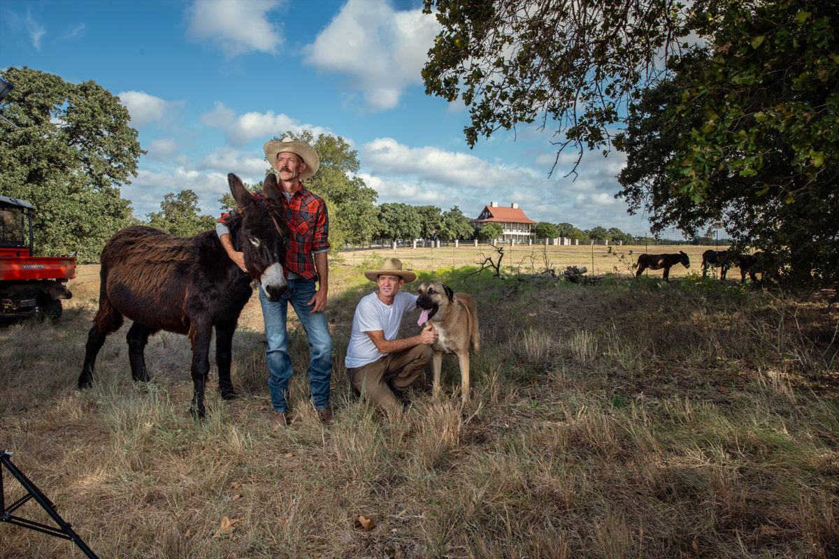 Discover the Grandview Farm Conserving an Endearing Breed of Donkey - D ...