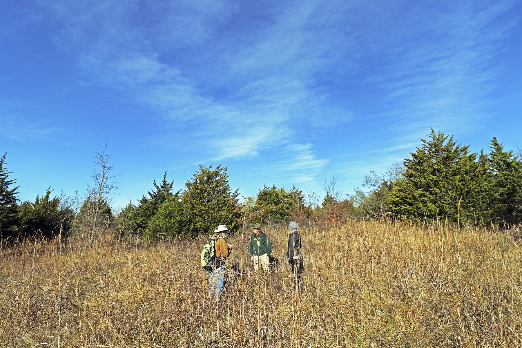 Best Outdoor Things to Do in North Texas: Hiking, Biking, and Paddling ...