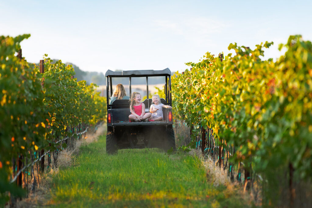 The 15 Texas Hill Country Wineries You Must Visit Now - D Magazine