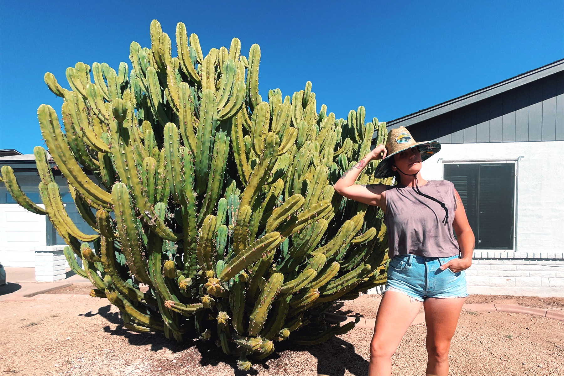 The Cactus Queen Has a New Kingdom in Trinity Groves - D Magazine