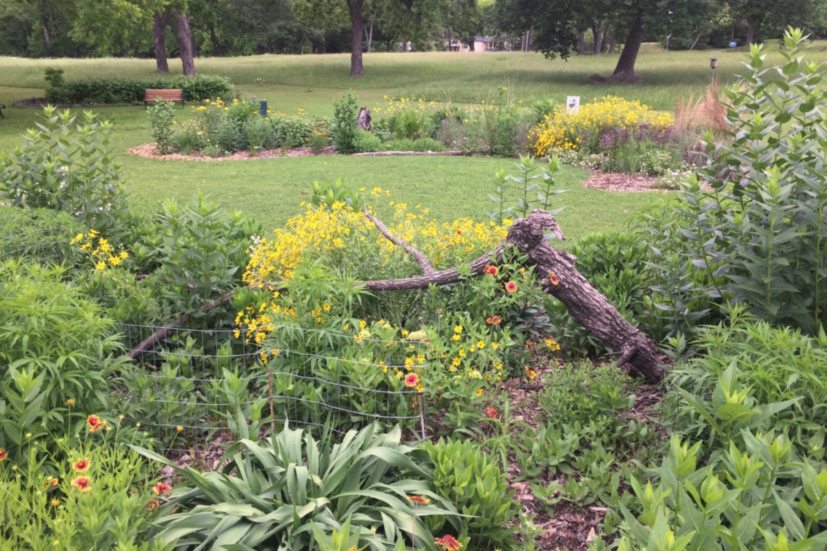How the Tenison Park Pollinator Garden Is Saving the Monarch Butterfly ...