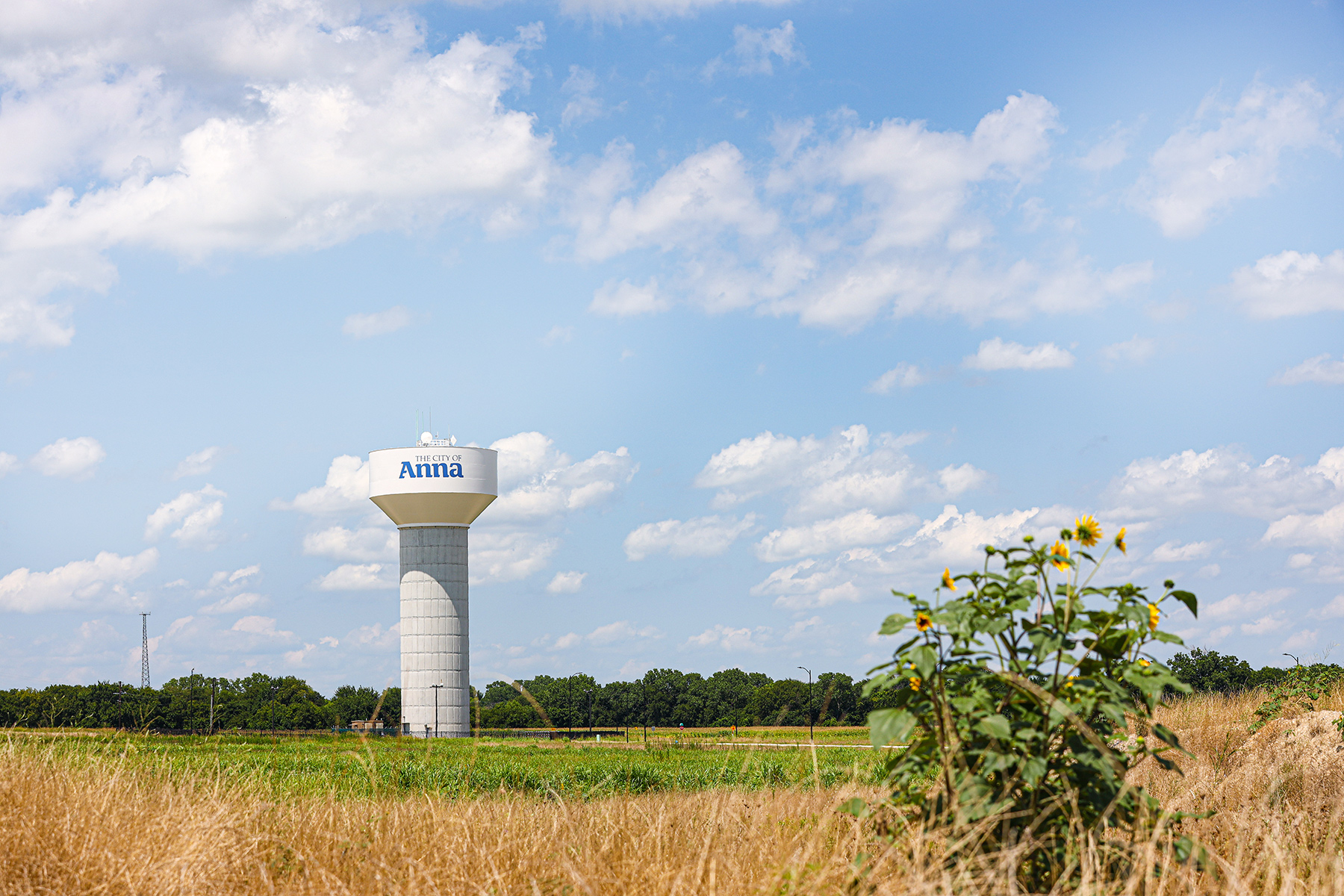 How Diverse Housing Builds a City - D Magazine