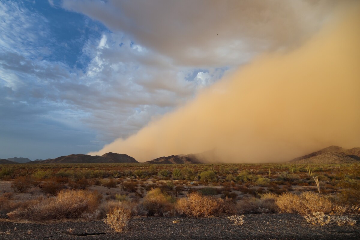 The West Texas Dust Has Settled Elsewhere - D Magazine