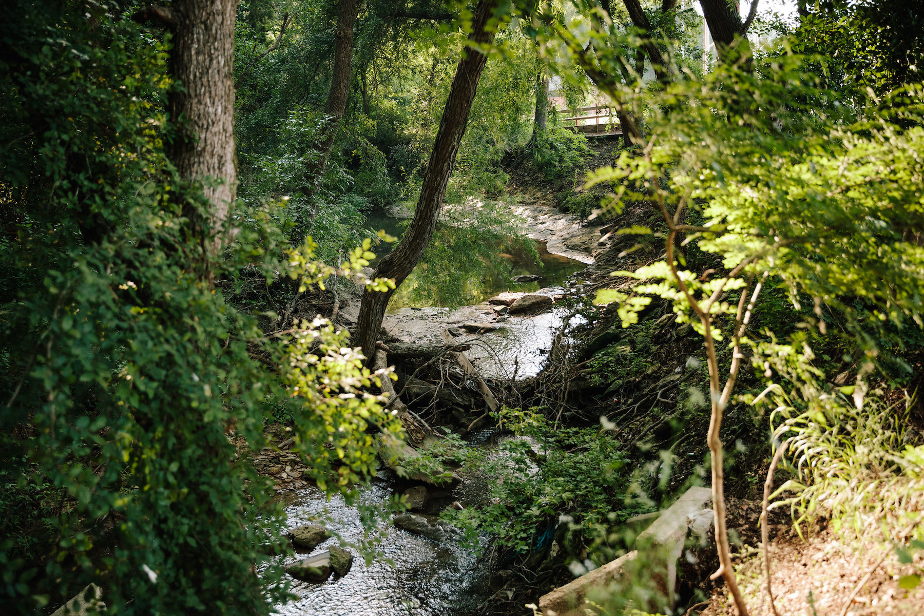 10 Reasons Why Cedar Hill is the Ultimate DFW Destination - D Magazine