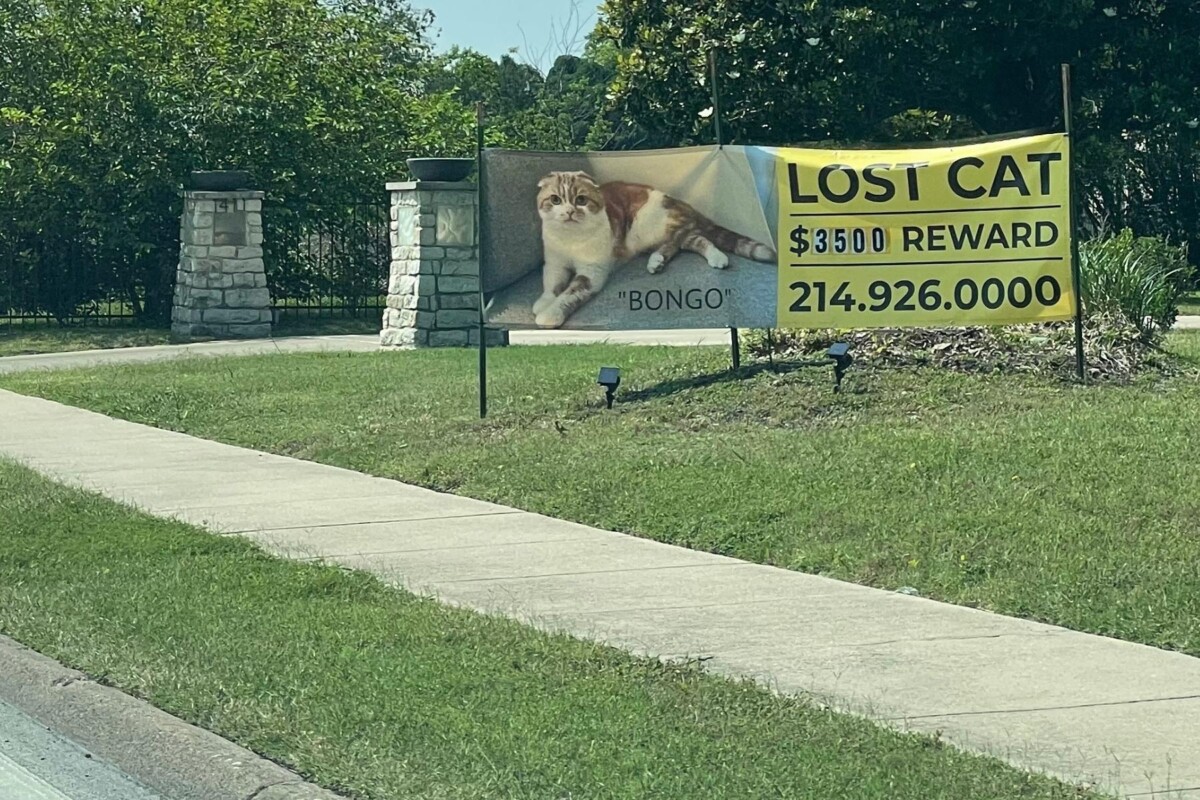 Don't F*CK With Cats - D Magazine