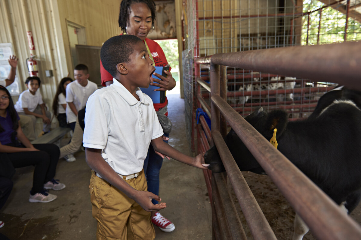 10 Dallas ISD Programs or Schools You Should Know About That Aren’t ...
