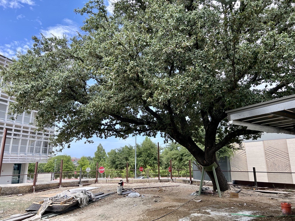 Steakyard Will Serve Approachable Steak Frites in Northeast Dallas - D ...