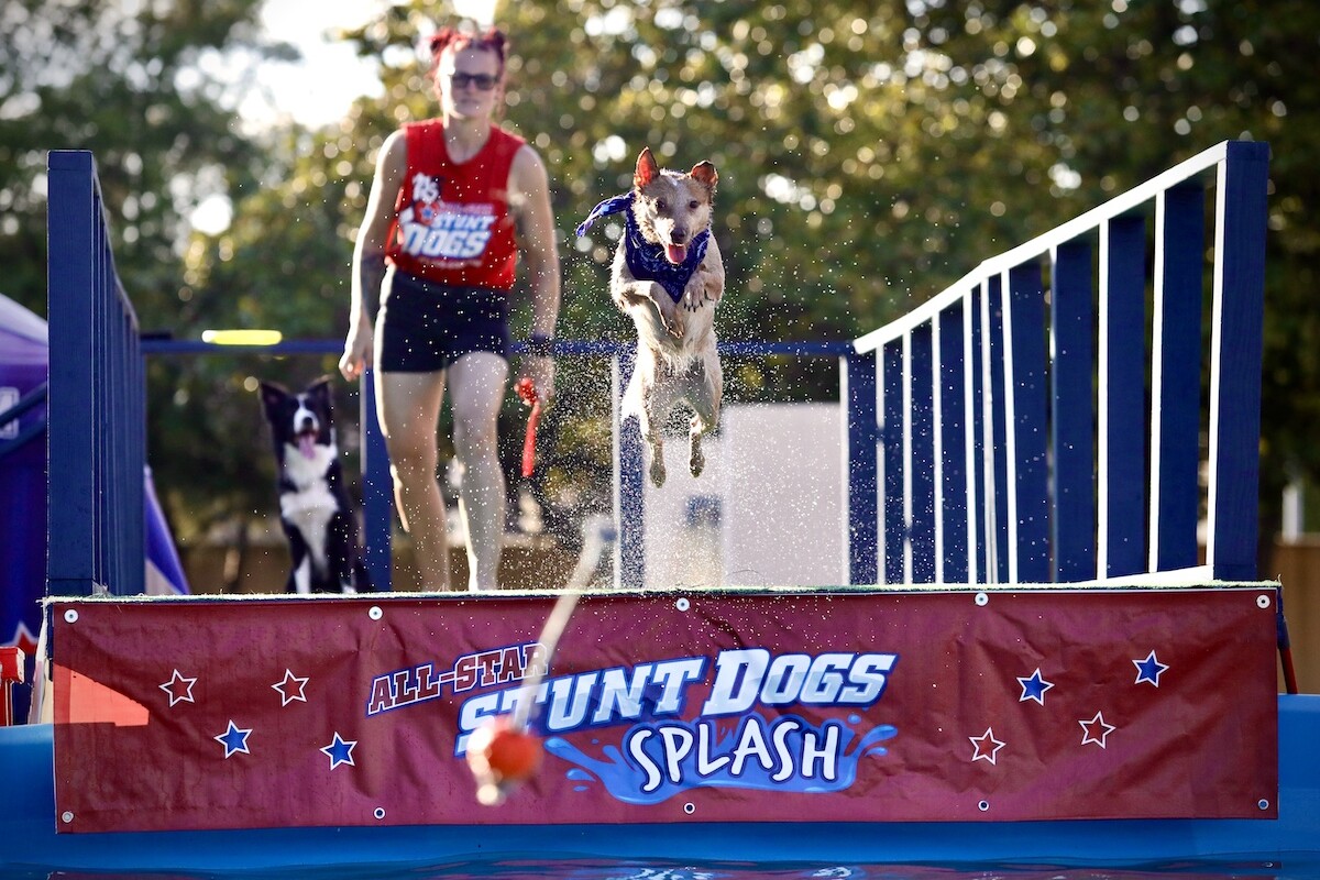 State Fair Photo of the Day: 10/5, No Need to Teach a Dog New Tricks ...