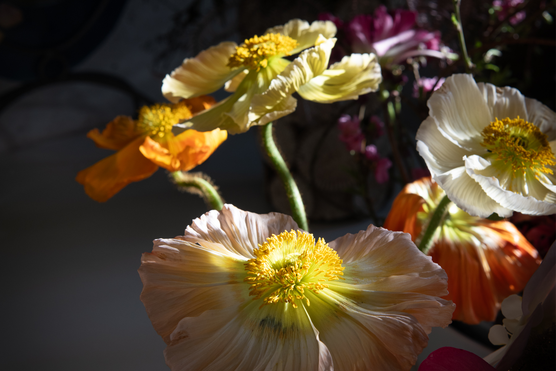 Twelve Thirty Four Boutique is Blooming With Arrangements and Local Art - D Magazine