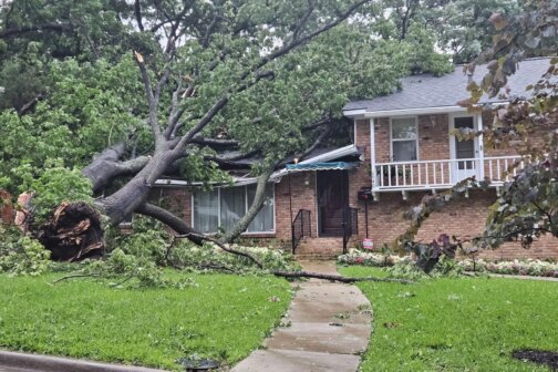 FrontBurner Blog - D Magazine