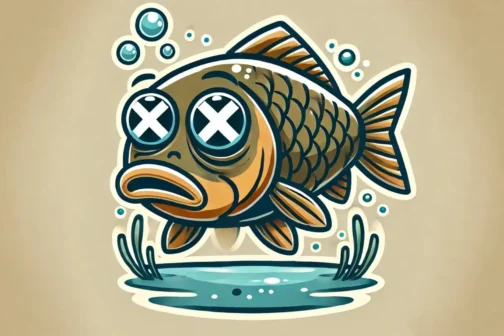 Tim Rogers - D Magazine