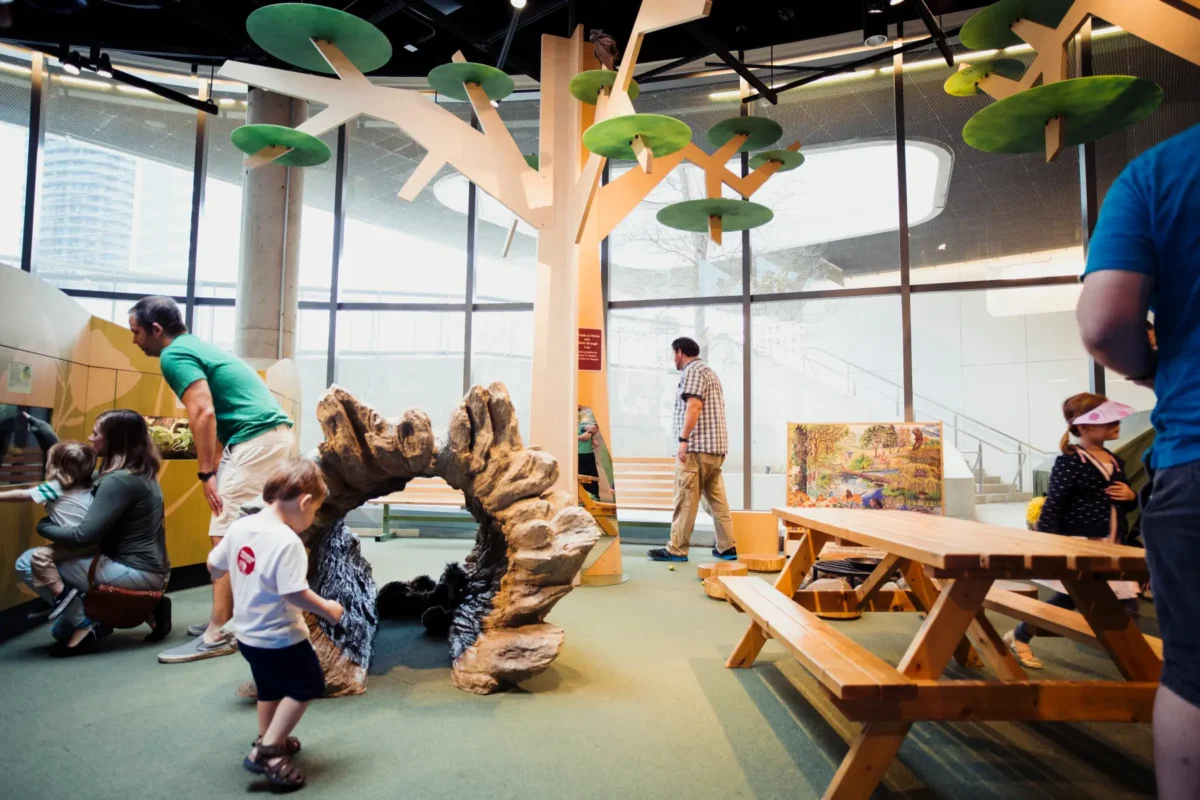 13 Indoor Places for Kids to Play in Dallas When It’s Too Hot (or Rainy ...