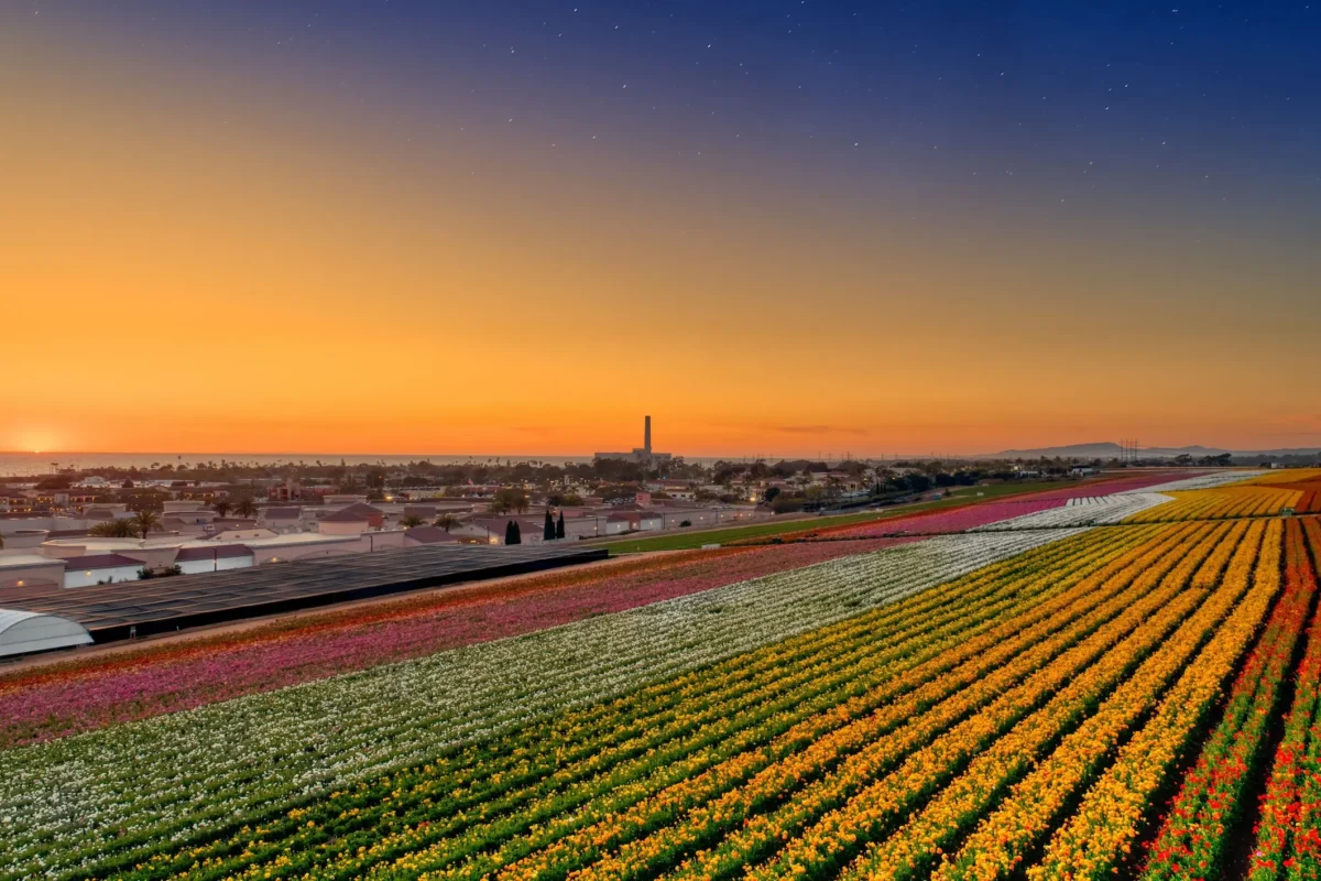 Carlsbad, California: Where Luxury, Adventure, and Perfect Weather ...