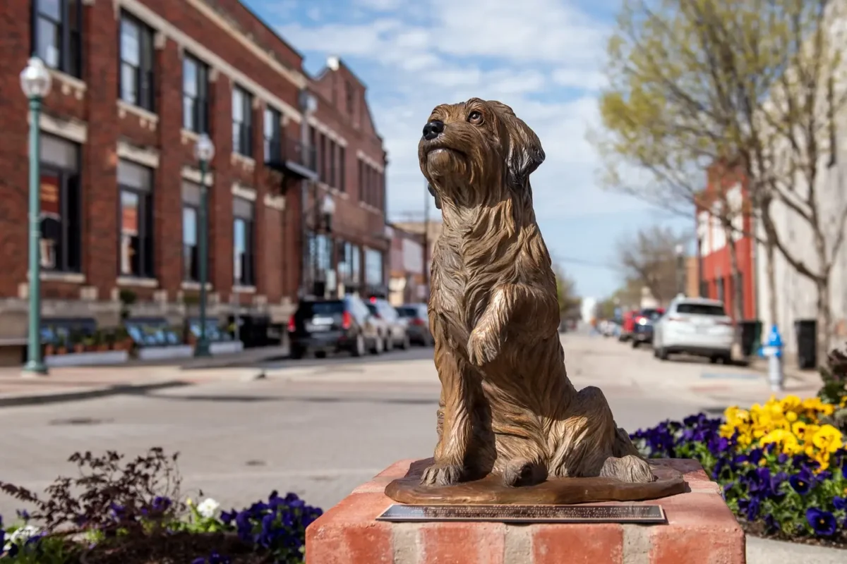 *Benji* Turns 50, and the City of McKinney Honors Its Most Famous Movie ...