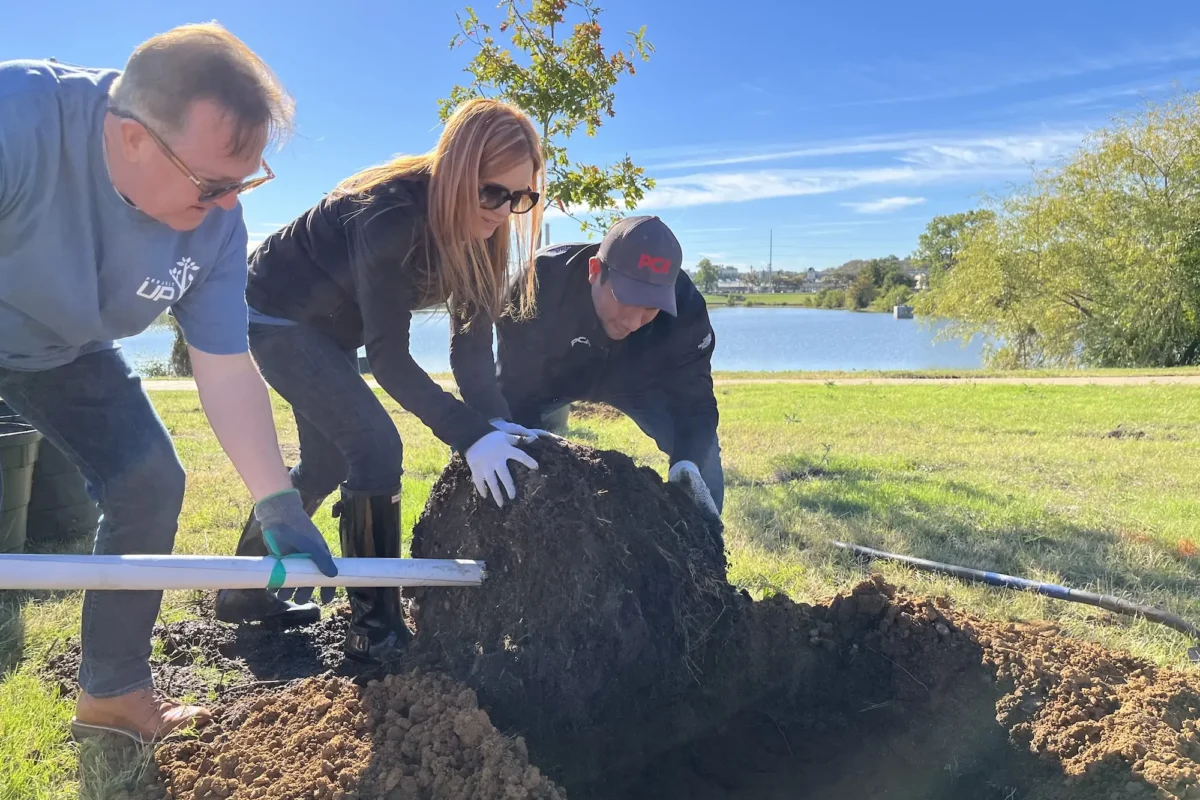 Texas Trees Foundation Wants to Plant More Trees and Train Dallasites ...
