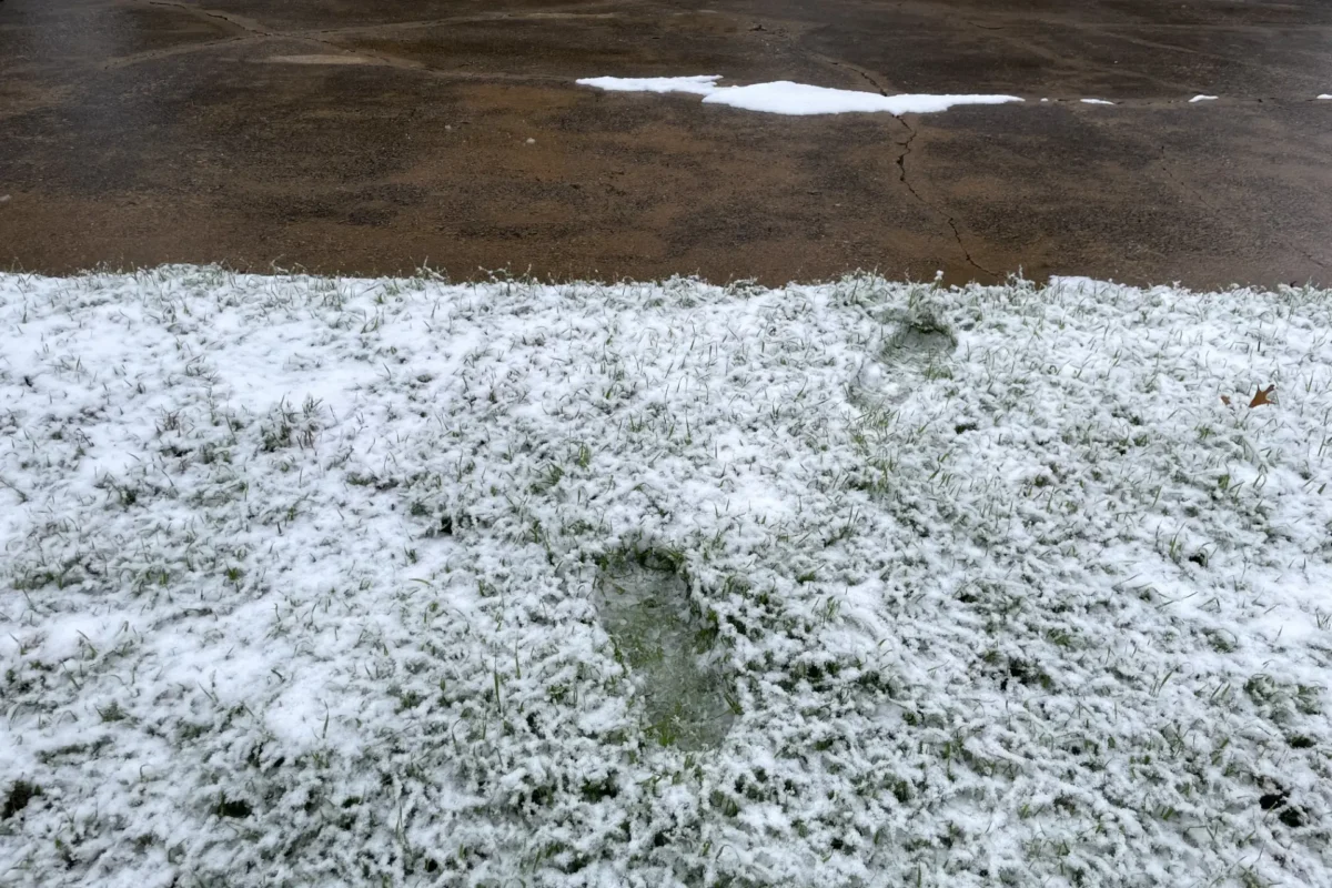 Say Goodbye to the First Winter Storm of 2025 - D Magazine