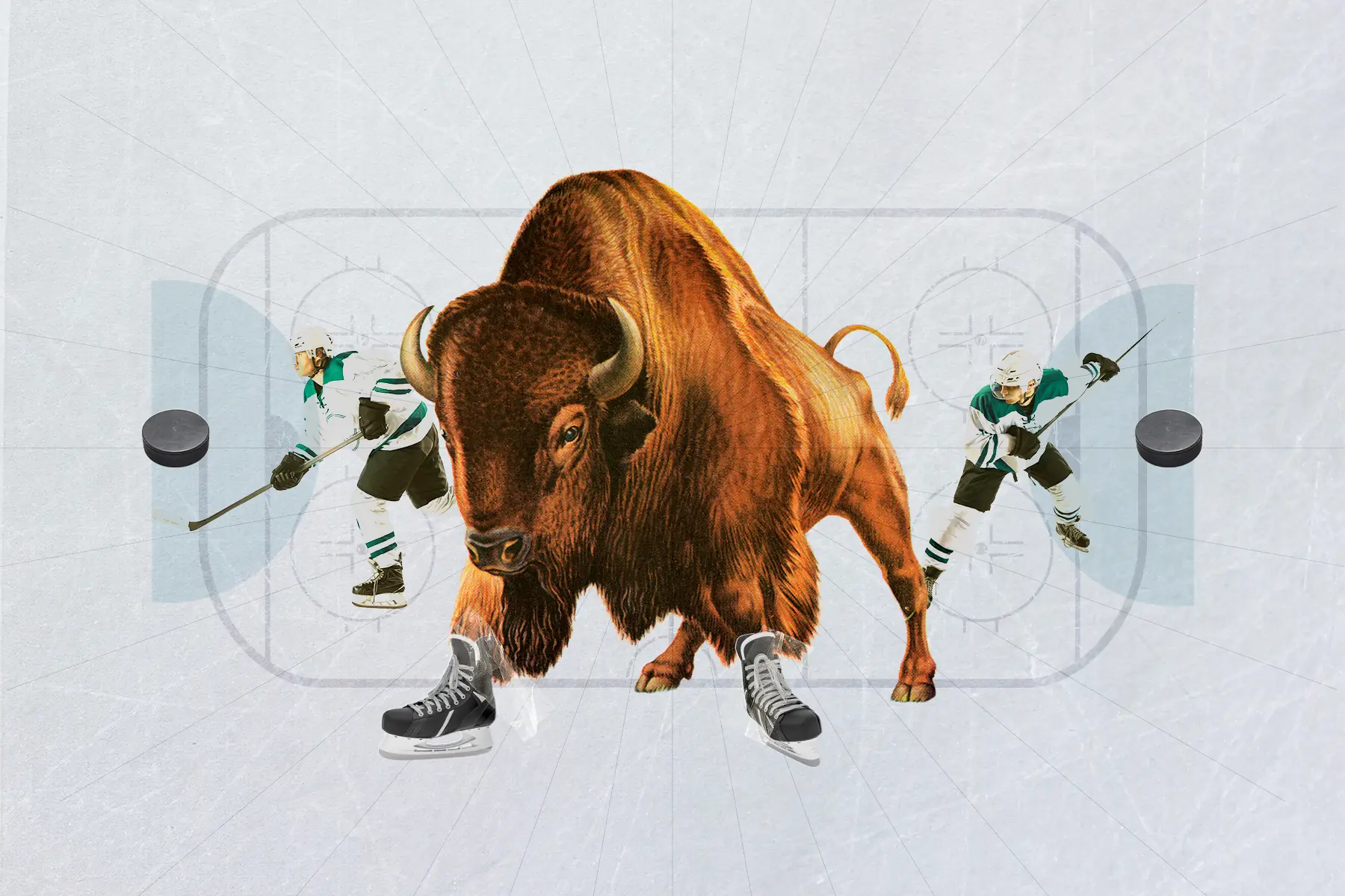 The Night the Dallas Stars Brought a Live Bison to Center Ice - D Magazine
