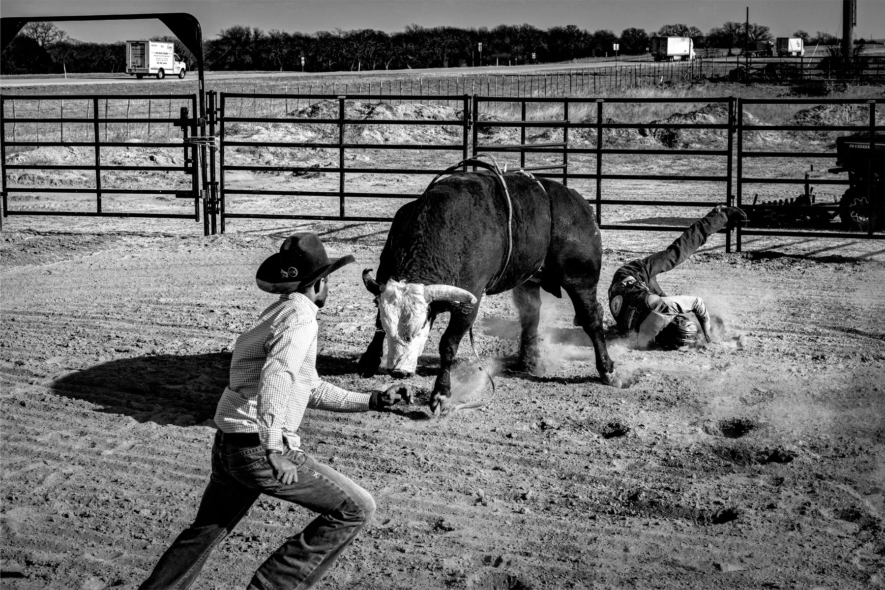 How Brazilians Made Decatur the Capital of American Bull Riding - D ...