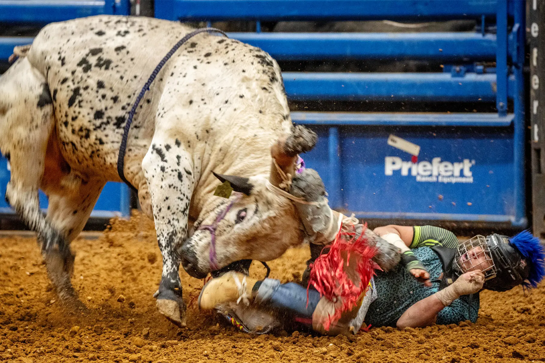 One Night at the Jaripeo Baile - D Magazine