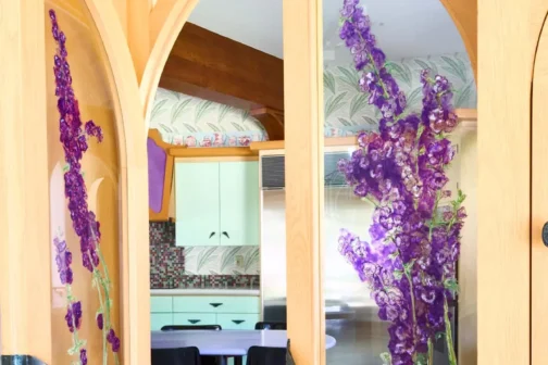 The Mushroom House Mystery: Inside Dallas' Strangest and Most Magical ...