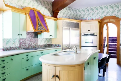 The Mushroom House Mystery: Inside Dallas' Strangest and Most Magical ...