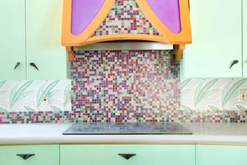 The Mushroom House Mystery: Inside Dallas' Strangest and Most Magical ...