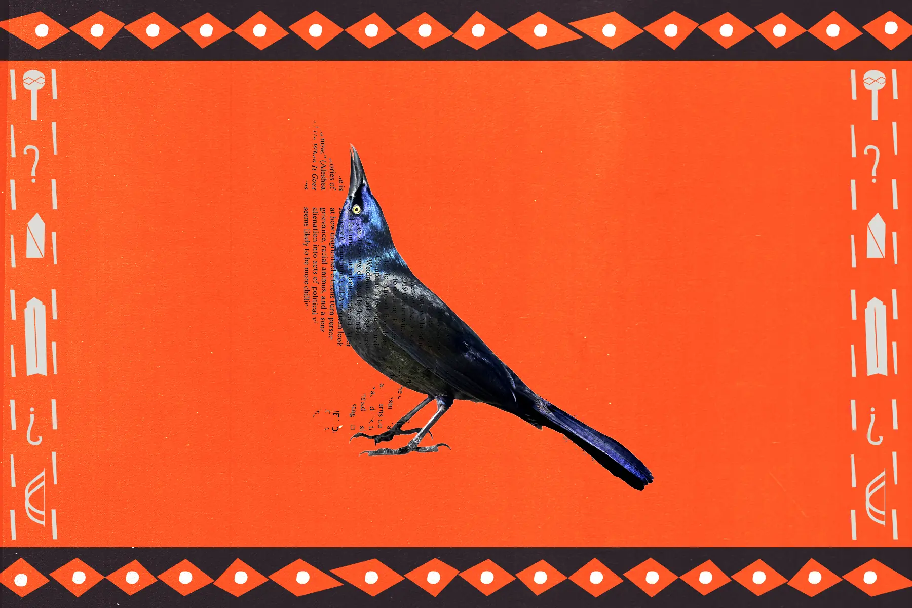 Grackles are attacking Sachse - D Magazine