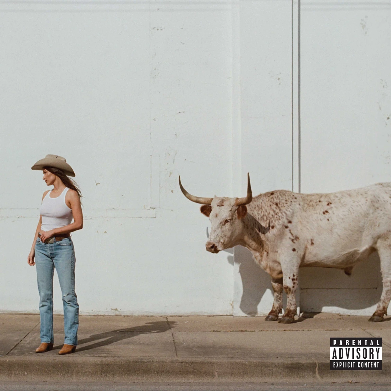 Kacey Musgraves’ new album looks a lot like Deep Ellum - D Magazine
