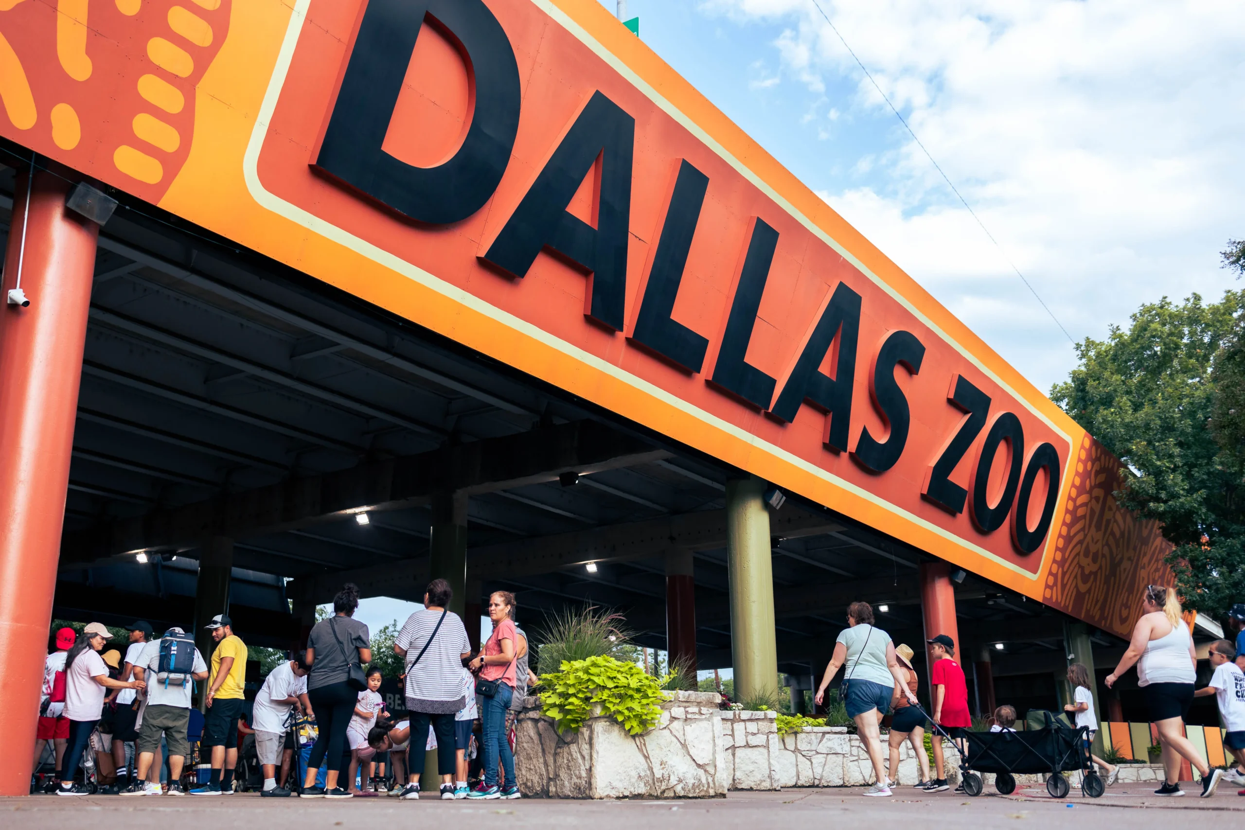 In honor of the World Cup, Dallas Zoo animals show off soccer skills ...